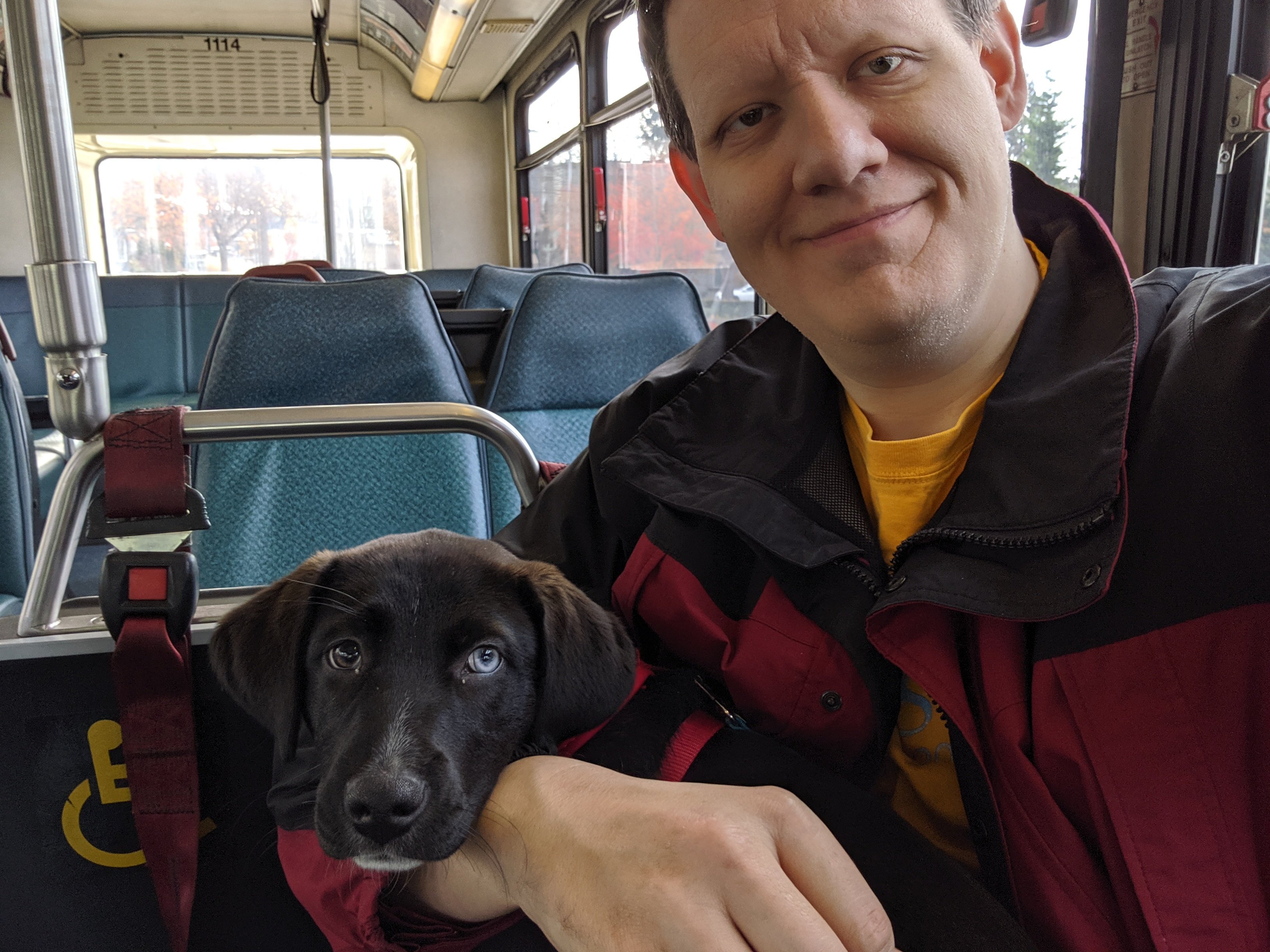 Peppers first bus ride – Carlson Calamities